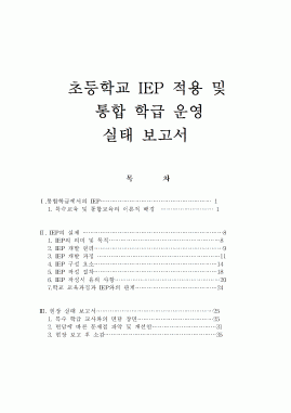 초등학교 IEP 적용 및 통합 학급 운영실태 보고서-1페이지