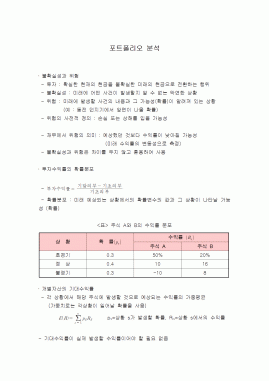 포트폴리오 분석-1페이지