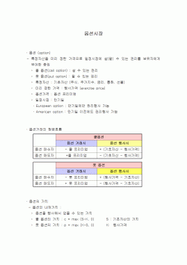 옵션시장에 대하여-1페이지