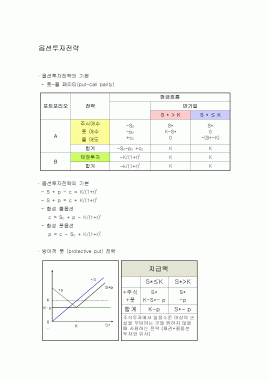 옵션투자전략에 대하여-1페이지