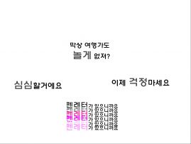 [사회과학] 펜.레.터 여행 사업계획서-1페이지