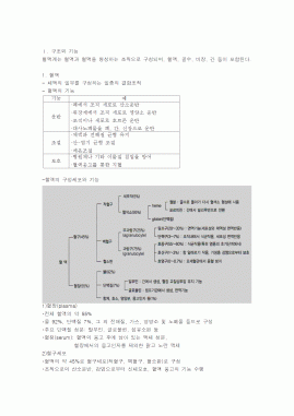 혈액의 구조와 기능 및 건강사정과 진단-1페이지