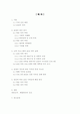 오락 프로그램의 표절 시비 분석과 해결방안-1페이지