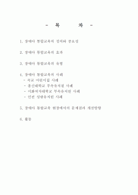 장애아 통합교육의 정의와 중요성, 효과, 유형, 사례, 문제점 및 개선방안-1페이지