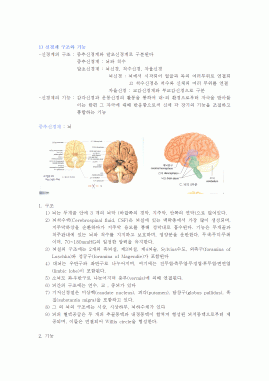 신경계에 대한 고찰-1페이지