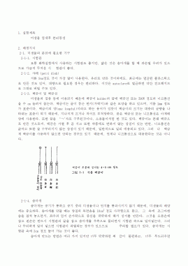 미생물 염색후 분리동정-1페이지