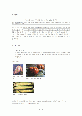 GMO(유전자변형작물)에 대한 고찰-1페이지