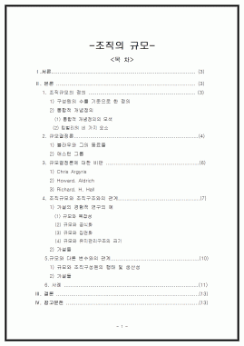 조직론 <조직의 규모>-1페이지