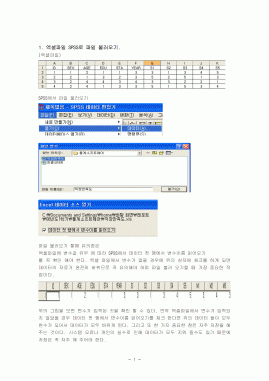 spss 기초사용법 설명  A+ 받음-1페이지