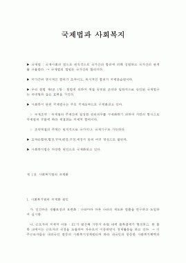 국제법과사회복지, 그리고사회복지조례 -1페이지