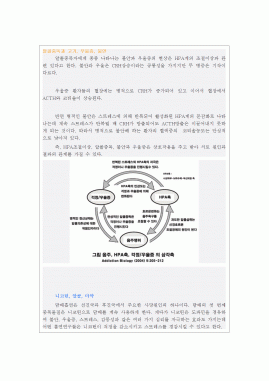 알콜중독과 고기, 우울증, 불안 -1페이지