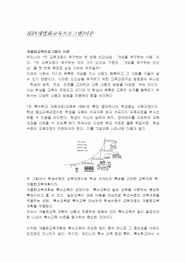 IEP(개별화교육프로그램)이론-1페이지