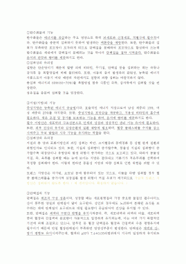 초등 실과 식품기능 교육 영양교육 식품교육-1페이지