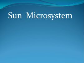 Sun Microsystem사의 인사정책-1페이지