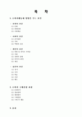 광고와 소비자행동에 대한 이해-1페이지