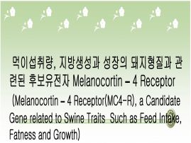 먹이섭취, 지방생성과 성장의 돼지형질과 관련 후보유전자 Melanocortin–4Receptor-1페이지