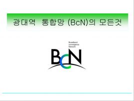 광대역 통합망(BCN)의 모든 것-1페이지