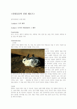 [동물실험학] 토끼의 외관관찰과 해부-1페이지