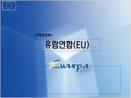 [국제경영] EU 및 기타 경제통합사례-1페이지