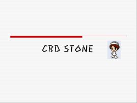 CBD STONE-1페이지