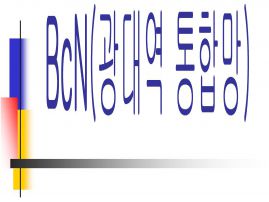 광대역 통합망 BCN 의 특성과 파급효과-1페이지