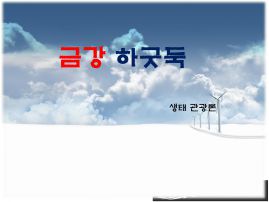 생태관광지 조사 - 금강 하구둑-1페이지