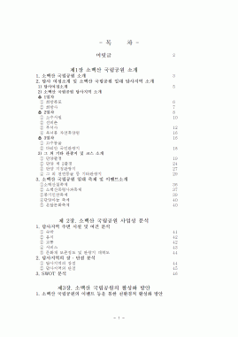 소백산 국립공원의 활성화방안(swot)-1페이지