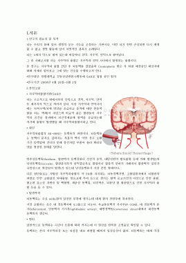 지주막하출혈 성인간호학 SAH 케이스스터디 간호과정-1페이지