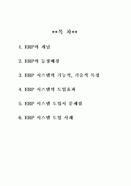 [경영학] ERP 시스템의 개념과 등장배경 및 문제점 -1페이지