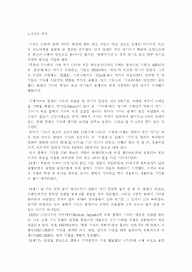   기타에 관한 무지와 편견 -1페이지