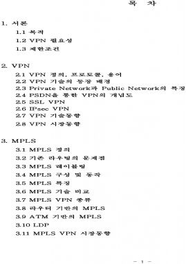 MPLS VPN 프로젝트-1페이지