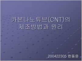 탄소나노튜브(CNT)의 제조방법과 그 원리 (발표자료 ppt)-1페이지