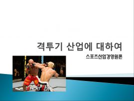 (스포츠산업경영원론) 격투기 산업에 대하여-1페이지