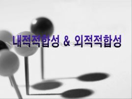 인적자원관리 외적적합성 내적적합성 기업사례 ppt-1페이지