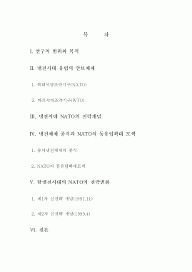 나토의 형성 및 전략적 개념의 변화-1페이지