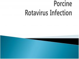 Rotavirus Infection에 관한 팀프로젝트 피피티 발표자료// 수의학과 학생들이 직접 제작-1페이지