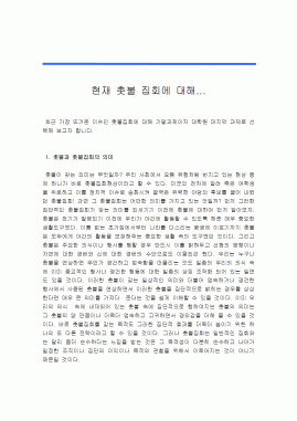 [사회학] 촛불집회가 갖는 사회적의의와 건전한 정착 방향-1페이지