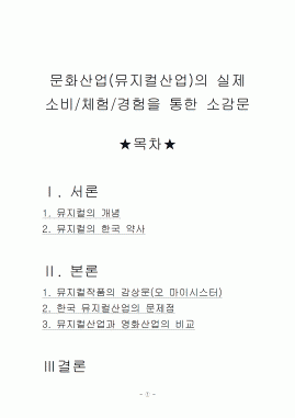 뮤지컬산업의 실제 소비. 체험을 통한 소감문-1페이지