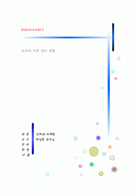 소니의 이유있는 침몰-1페이지