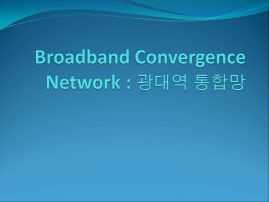 광대역 통합망 이란? Broadband Convergence Network[BcN][경영정보, mis]-1페이지