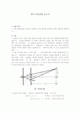 영의 간섭 실험-1페이지