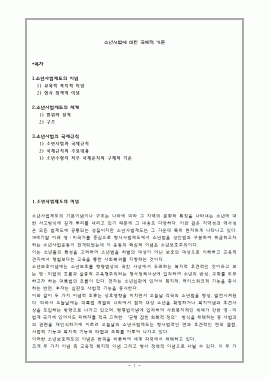 소년사법에 대한 국제적 기준-1페이지