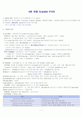 식품화학-지질-1페이지