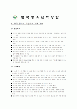 한국 청소년 화랑단 조사 보고서-1페이지
