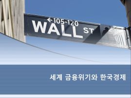 세계 금융위기와 한국경제-1페이지