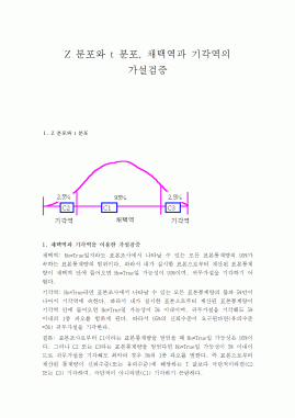 Z 분포와 t 분포, 채택역과 기각역의 가설검증-1페이지