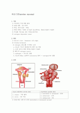 자궁근종(uterine myoma)-1페이지