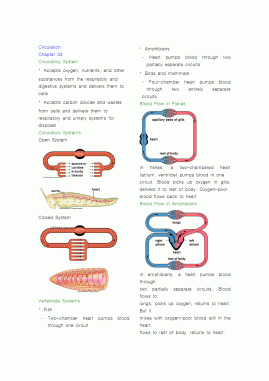 순환계 Circulation Chapter 33 Circulatory System-1페이지