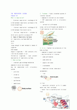 호흡계 THE  RESPIRATORY  SYSTEM Chapter 35-1페이지