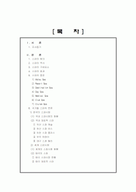 국가별 스파시장현황-1페이지